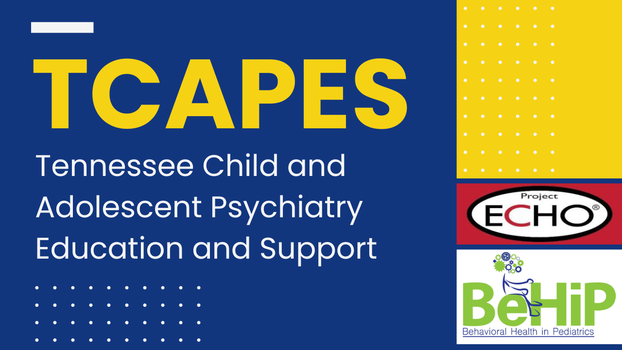 BeHiP: ECHO Project | TNAAP